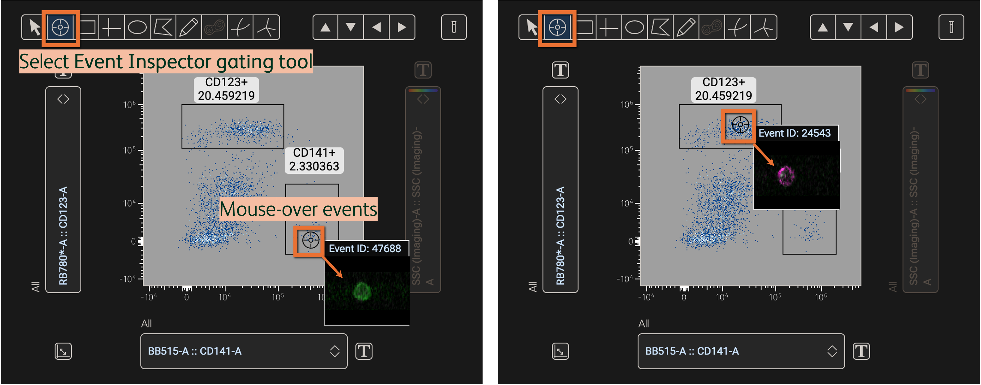 Image Wall | FlowJo, LLC